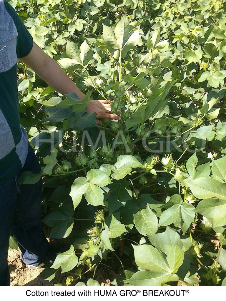 Image Gallery - Huma Gro®