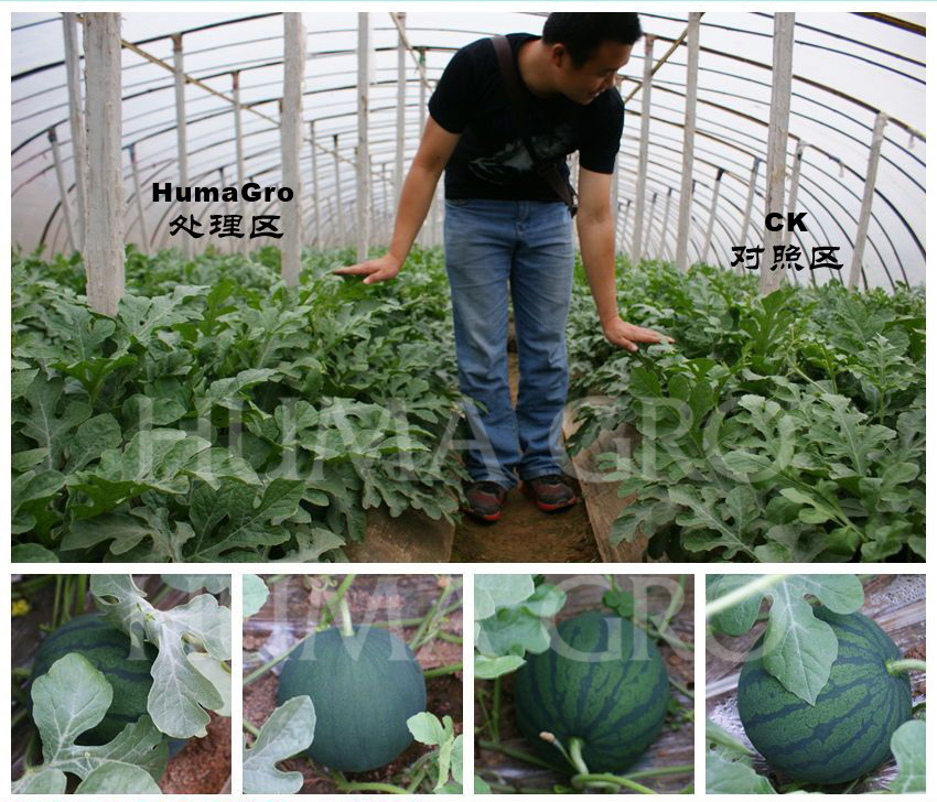 Image Gallery - Huma Gro®