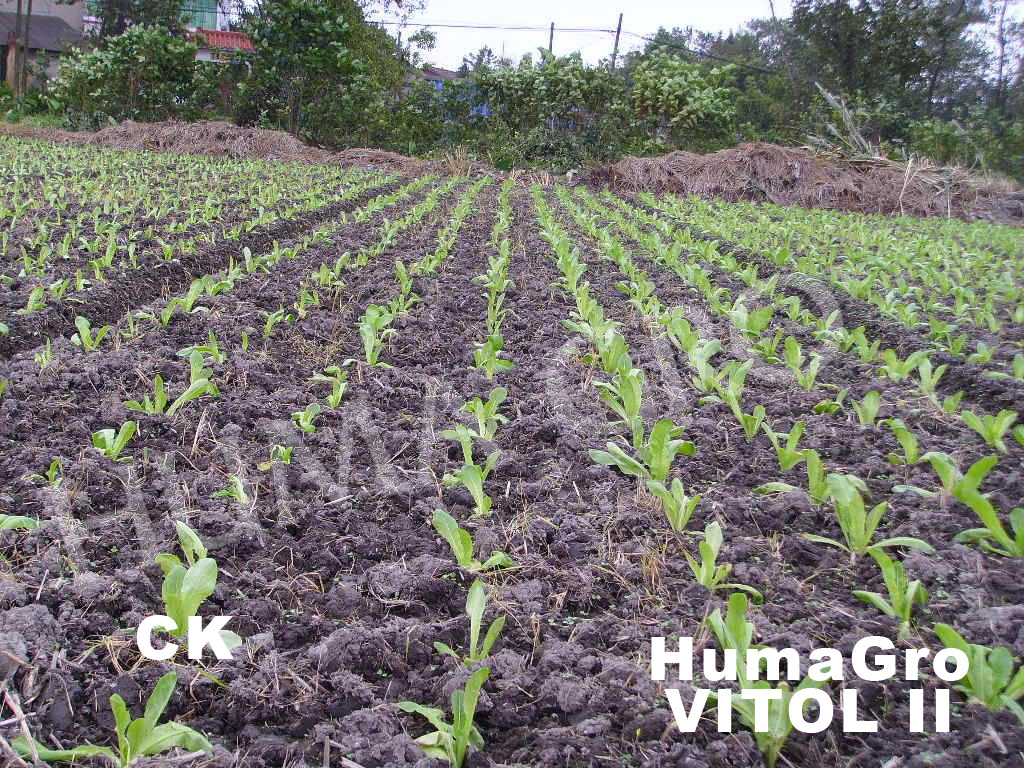 Image Gallery - Huma Gro®