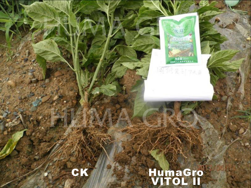 Image Gallery - Huma Gro®