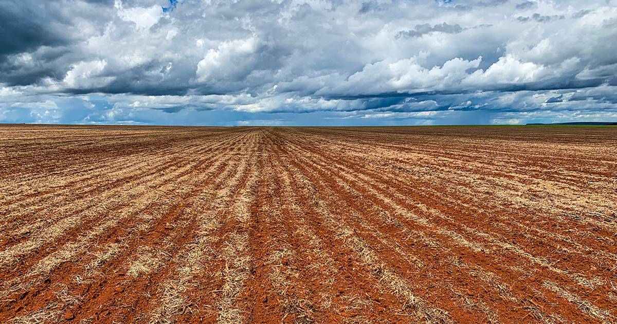 Discover Three Products to Prep Your Soil for Spring Planting - Huma Gro®