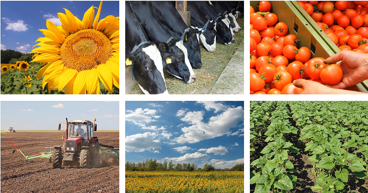 This Week in Ag #1 - Huma Gro®